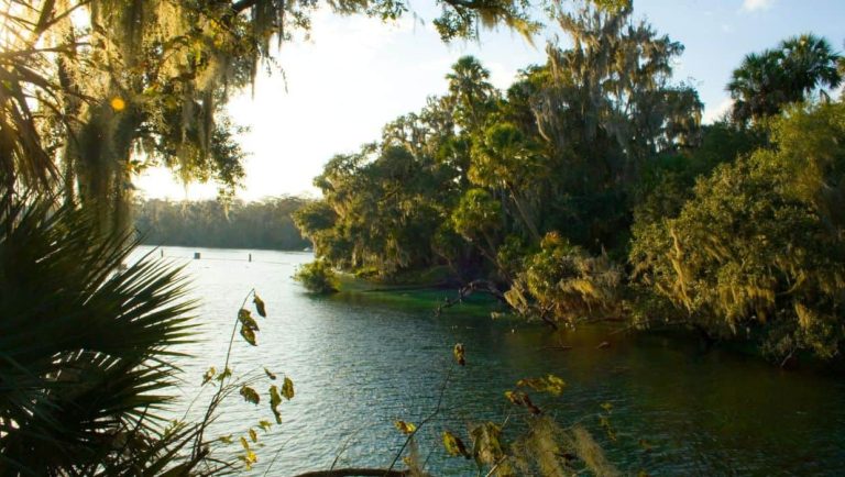 Exploring Blue Spring State Park - On a Permanent Vacation